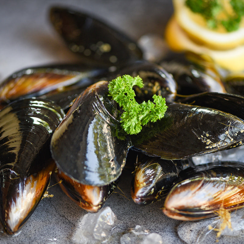 MUSSELS & SHELLFISH – Moby's Seafood