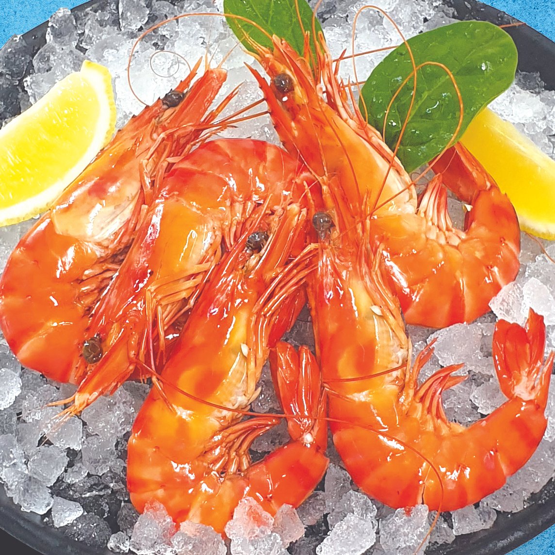 *Cooked Large Tiger Prawns (1kg) – Moby's Seafood