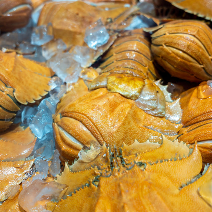 *Cooked Balmain Bugs (Min 1kg) – Moby's Seafood