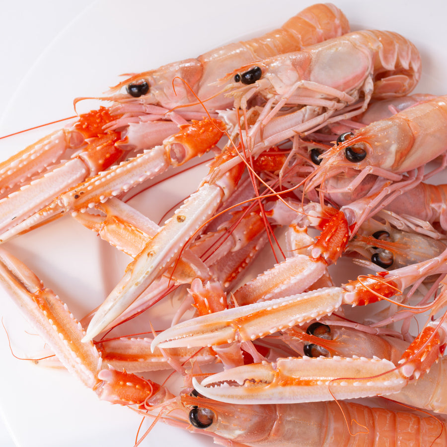 Scampi No.2 (1kg) – Moby's Seafood